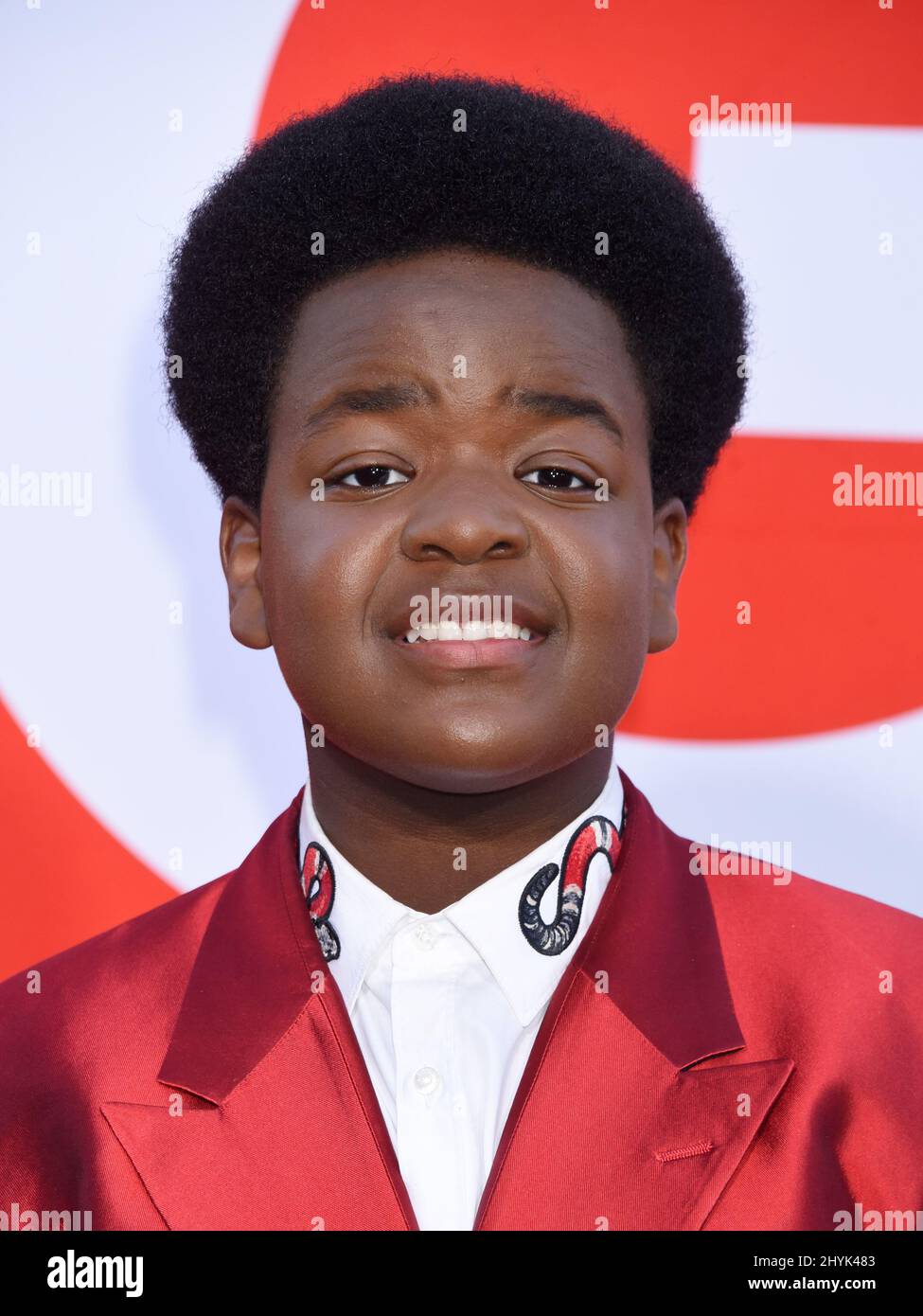 Keith L. Williams at the 'Good Boy' Los Angeles premiere held at the ...