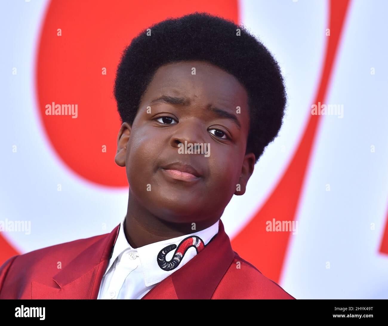 Keith L. Williams at the 'Good Boy' Los Angeles premiere held at the ...
