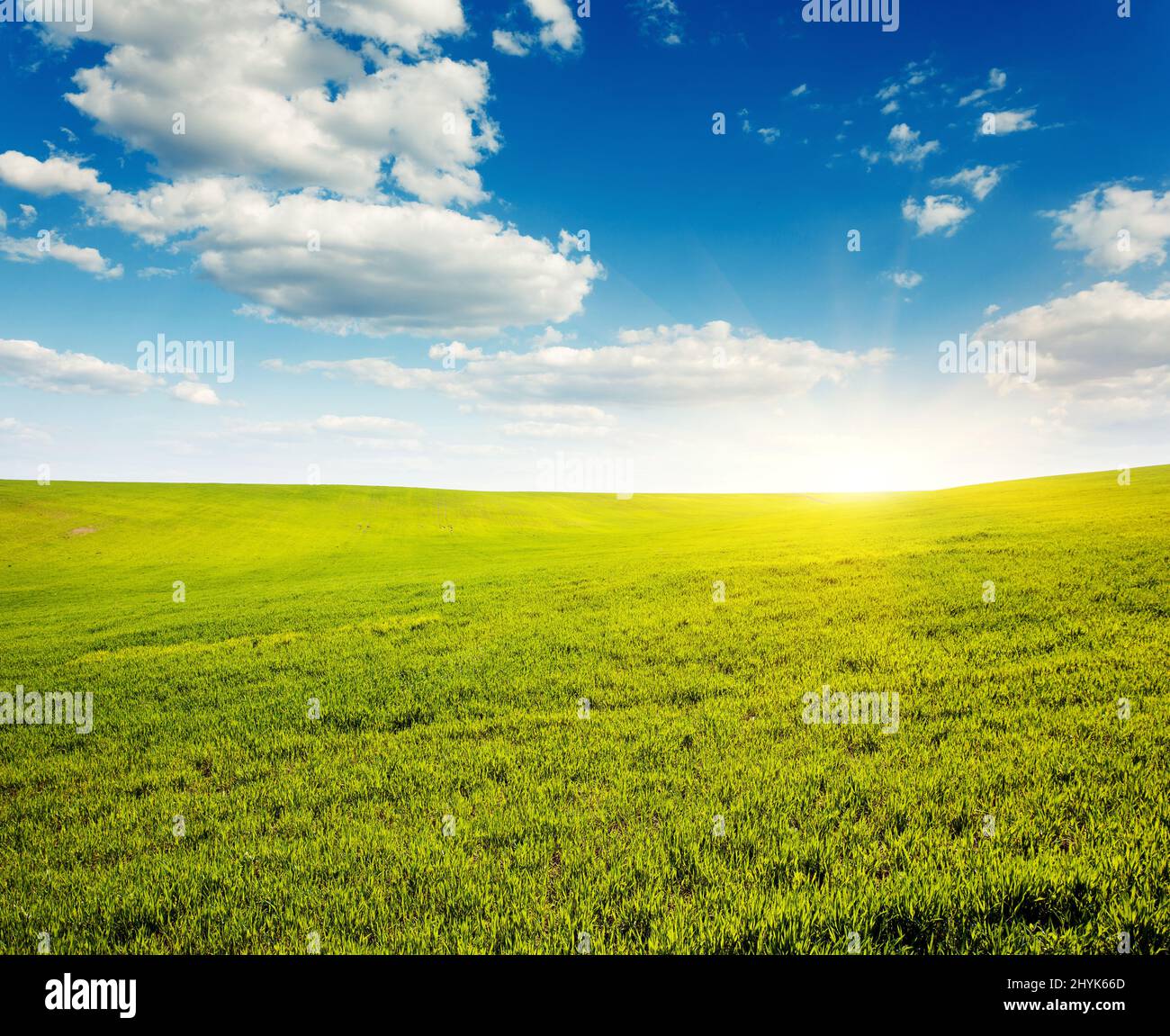 Sunny day at the field hi-res stock photography and images - Alamy