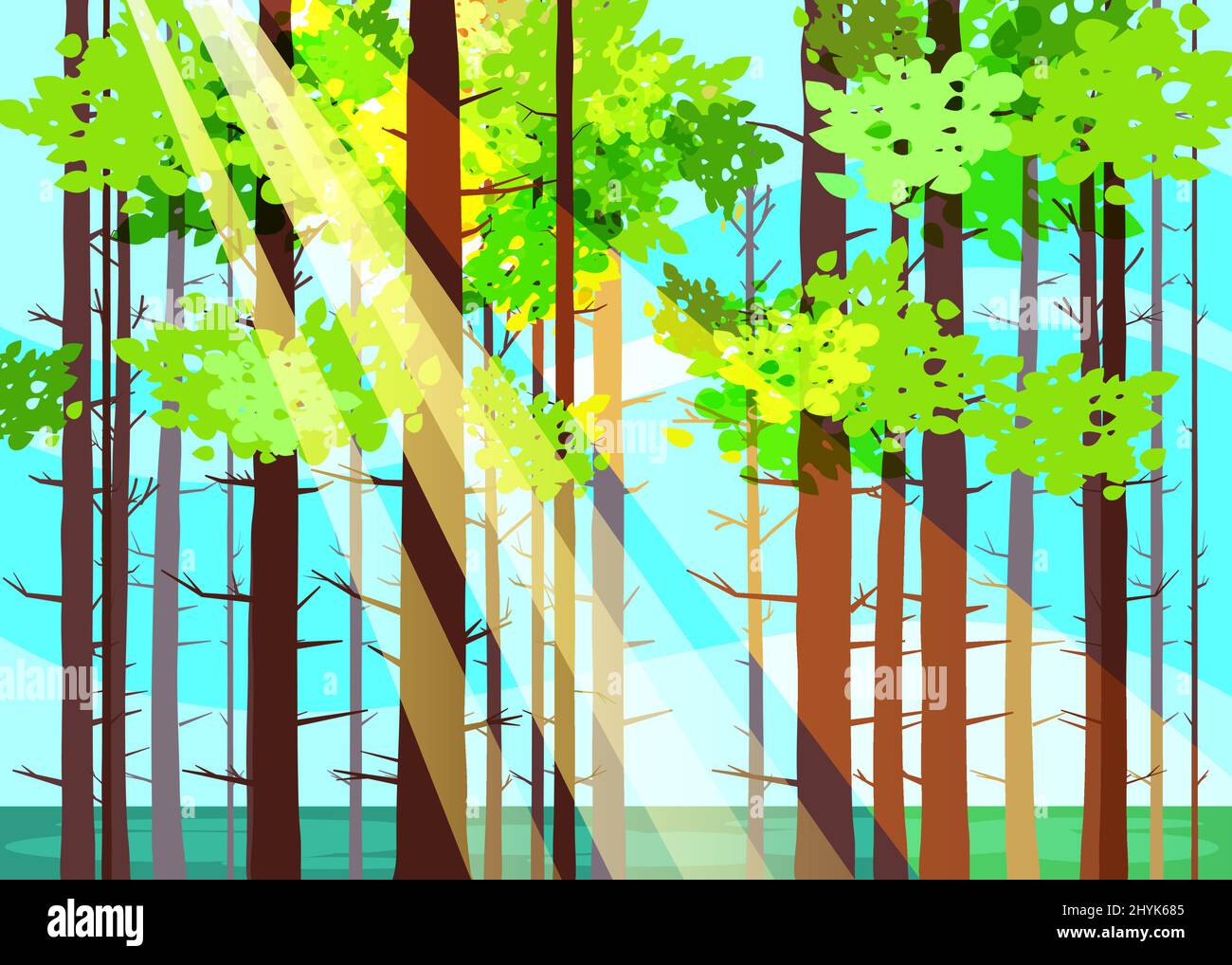 Beautiful Spring forest trees, green foliage, landscape, bushes ...