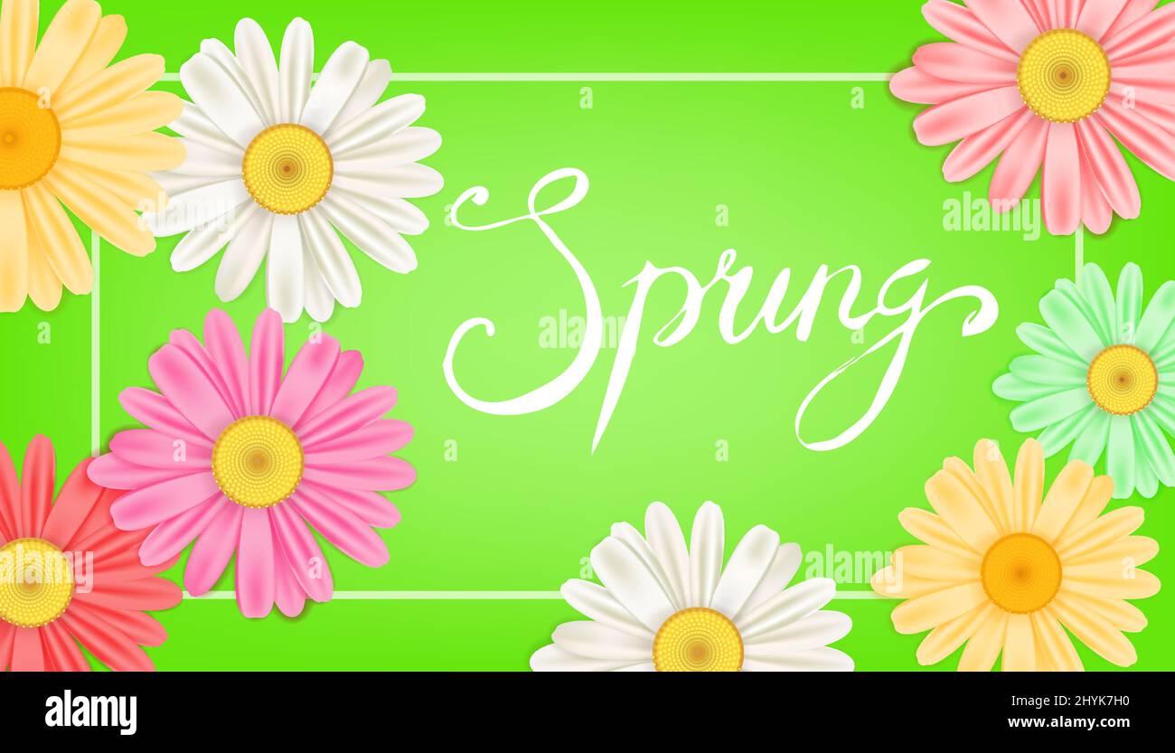 Spring banner. Hand drawn lettering. Background with chamomile, daisy ...