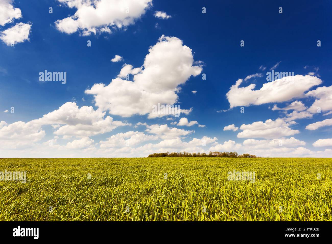 Sunny day at the field hi-res stock photography and images - Alamy