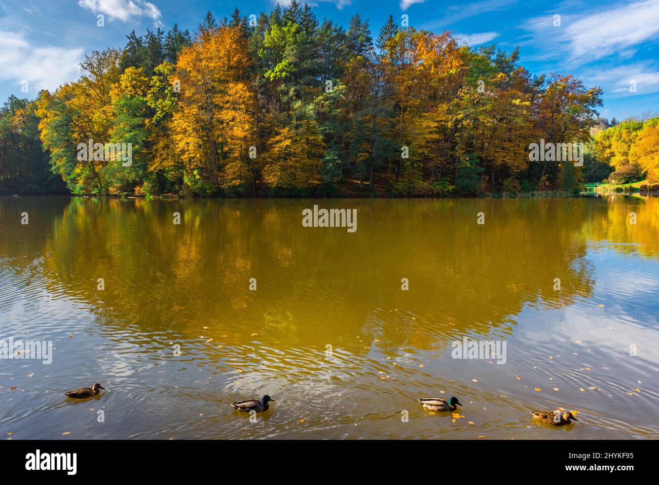 Autumn morning at lake Thal near Graz, Styria region, Austria Stock ...