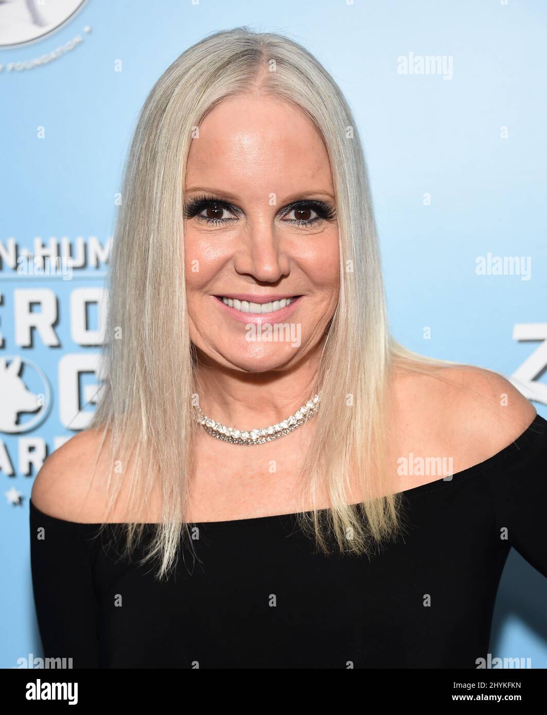 Michelle Vicary arriving to the American Humane Hero Dog Awards at ...