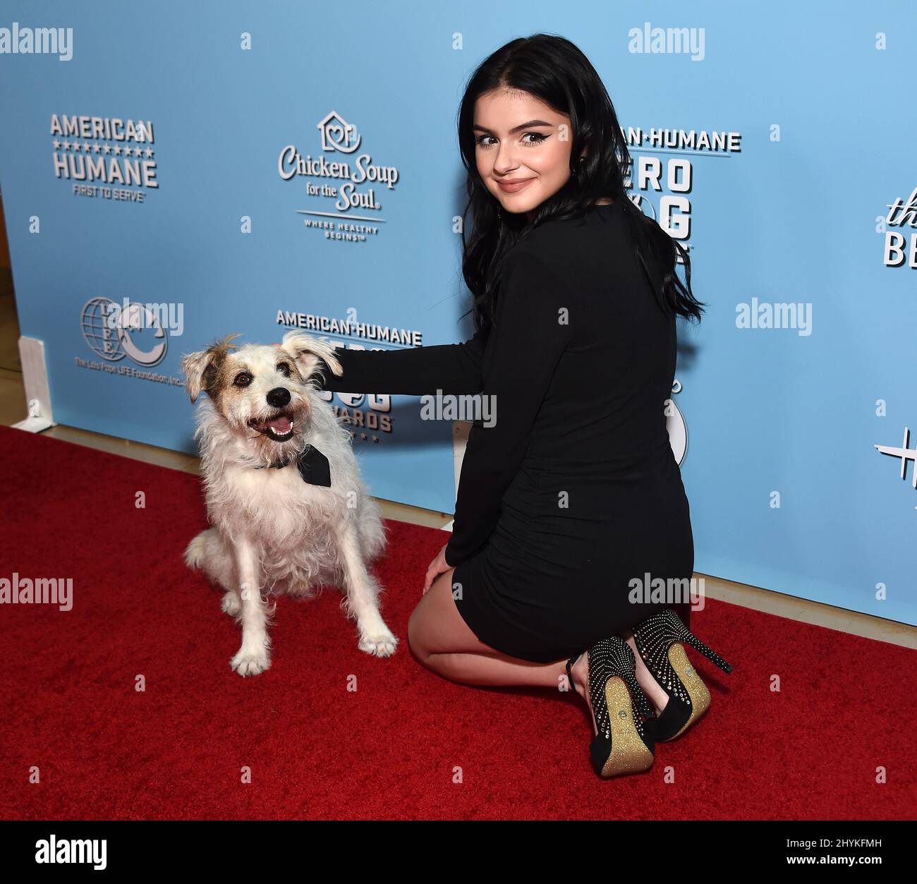 Happy ariel winter hi-res stock photography and images - Alamy