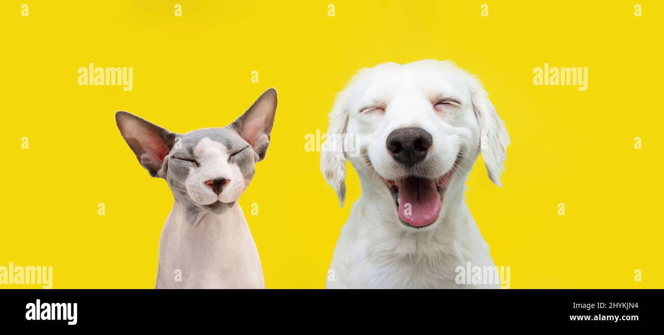 Banner happy smiling pet hi-res stock photography and images - Alamy