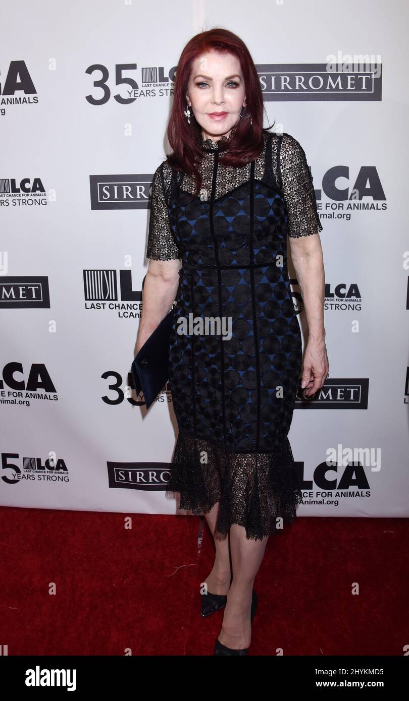 Priscilla Presley at the Last Chance For Animals 35th Anniversary Gala ...