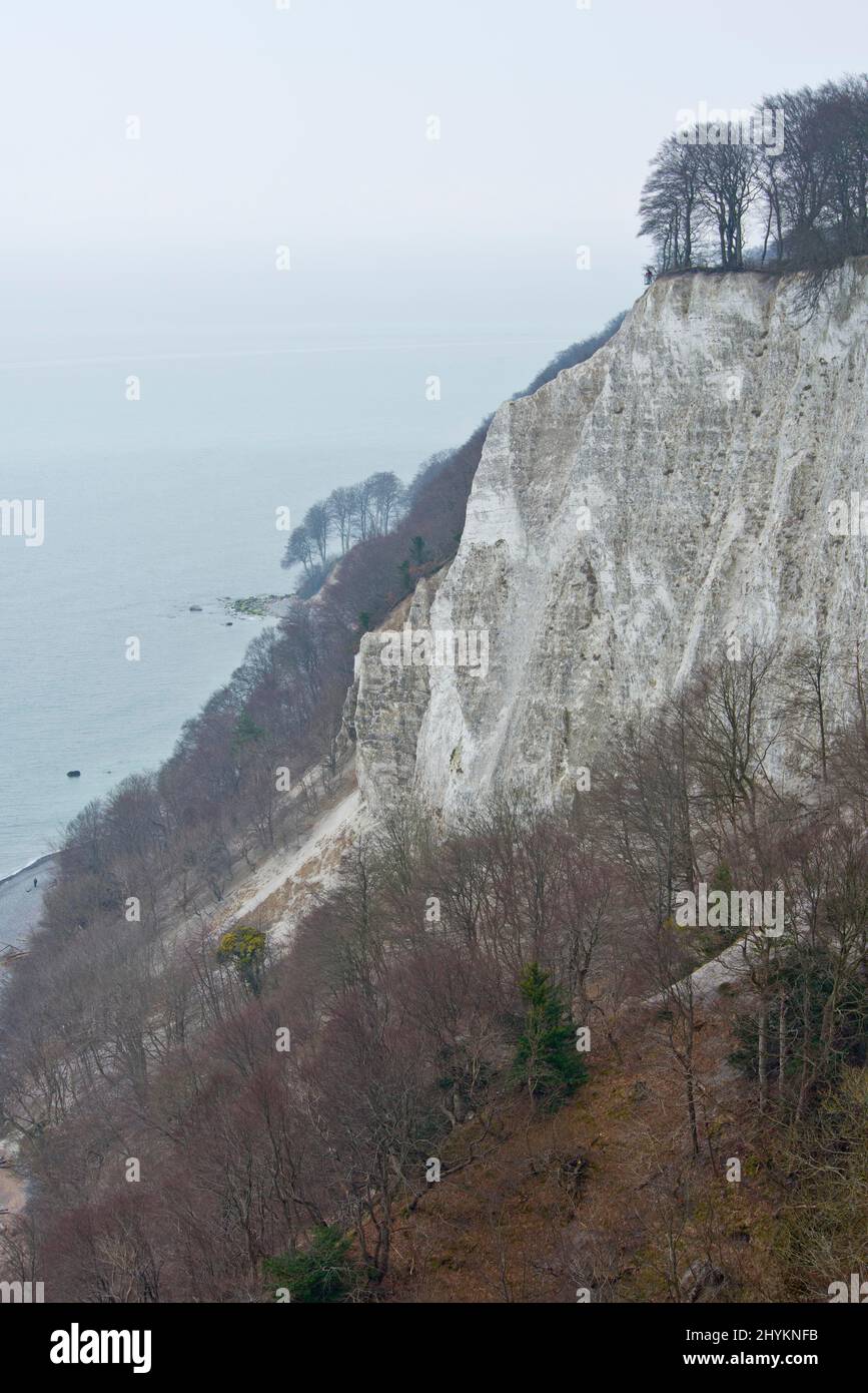 Chalk cliffs on the steep coast, Jasmund National Park, Ruegen, Germany ...