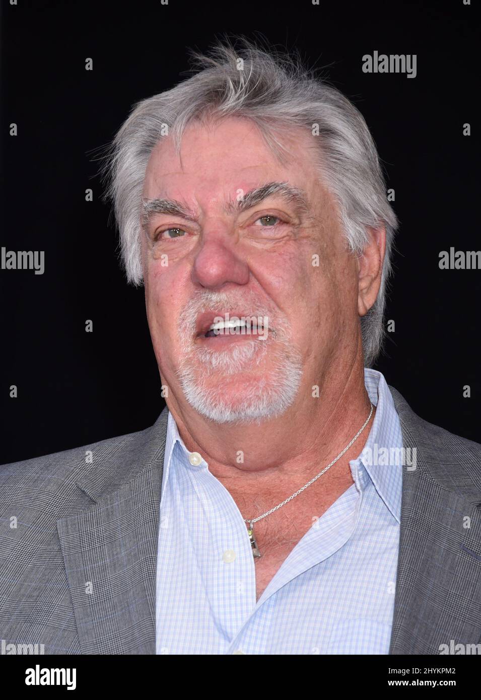 Bruce McGill attending the premiere of Netflix's The Irishman, in Los ...