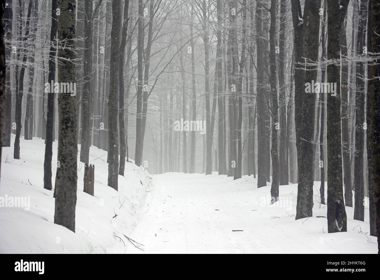 Tannhaeuser hi-res stock photography and images - Alamy