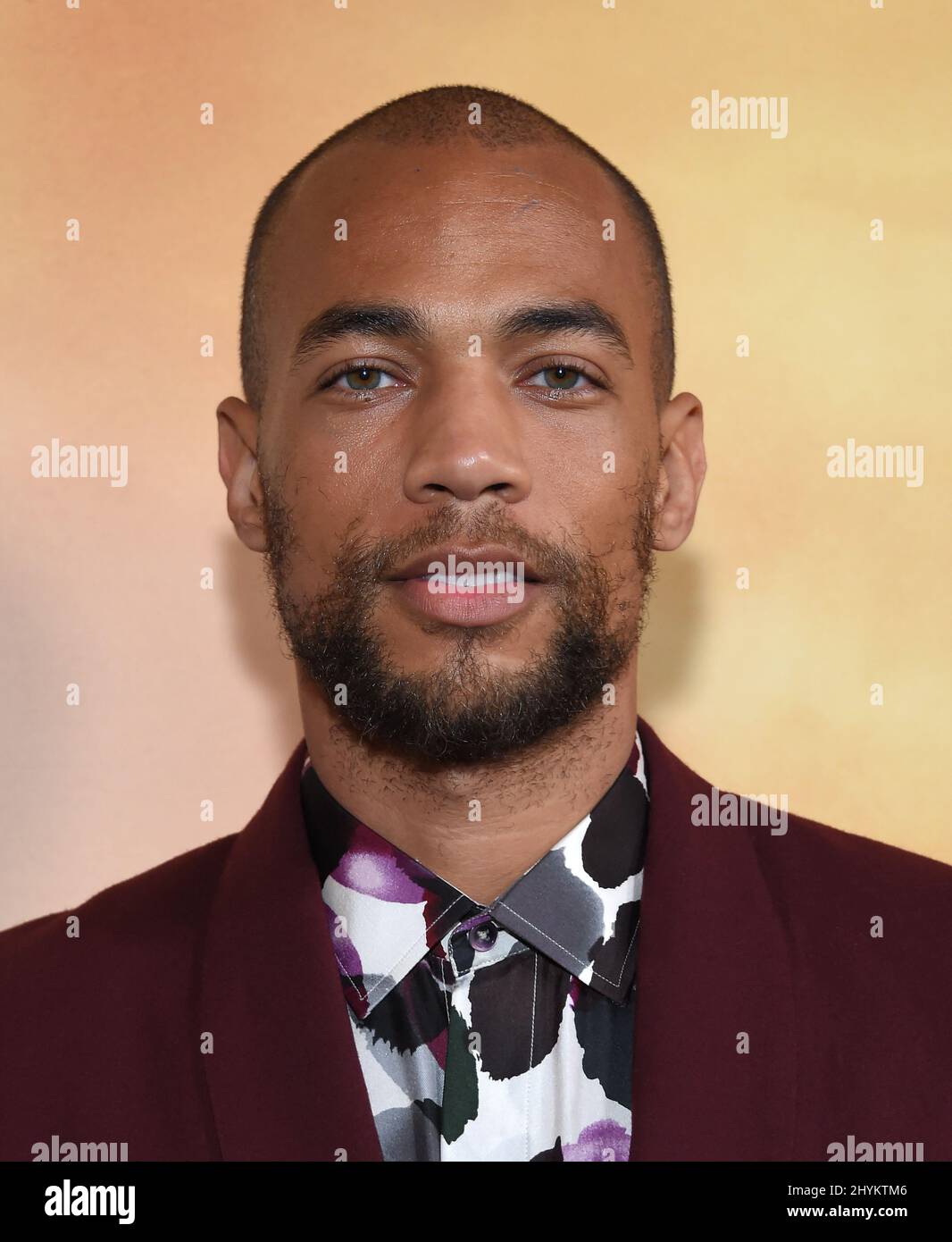 Kendrick Sampson arriving to the €˜Harriet Los Angeles Premiere at ...