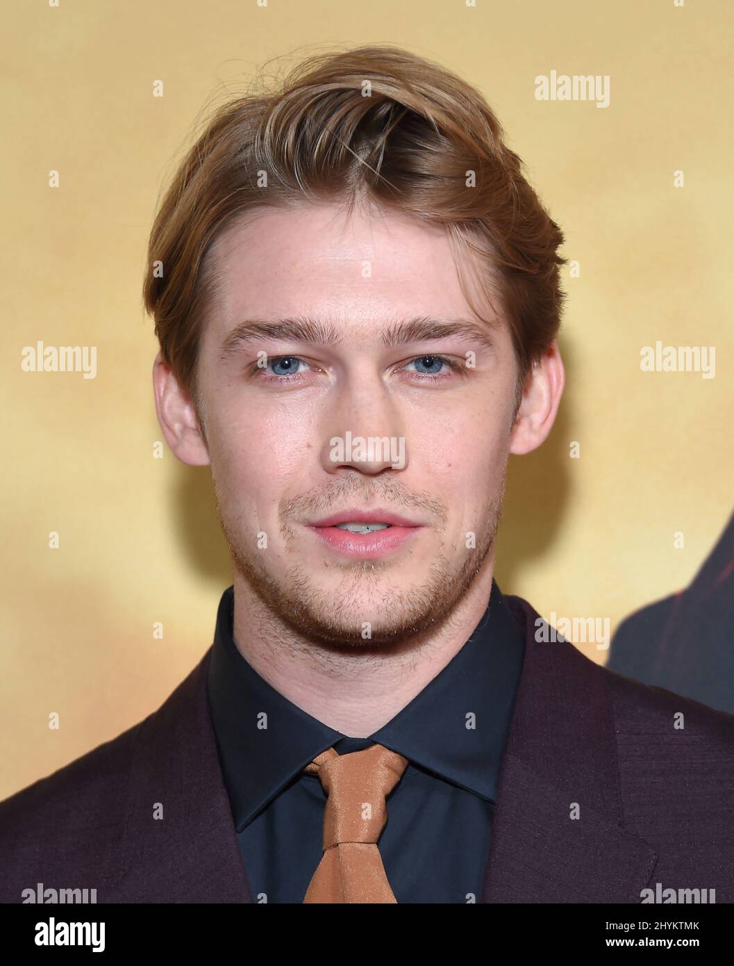 Joe Alwyn arriving to the €˜Harriet Los Angeles Premiere at Orpheum ...