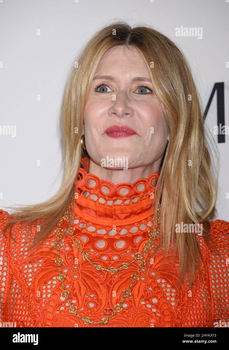 Laura Dern attending the Los Angeles premiere of Netflix's Marriage ...