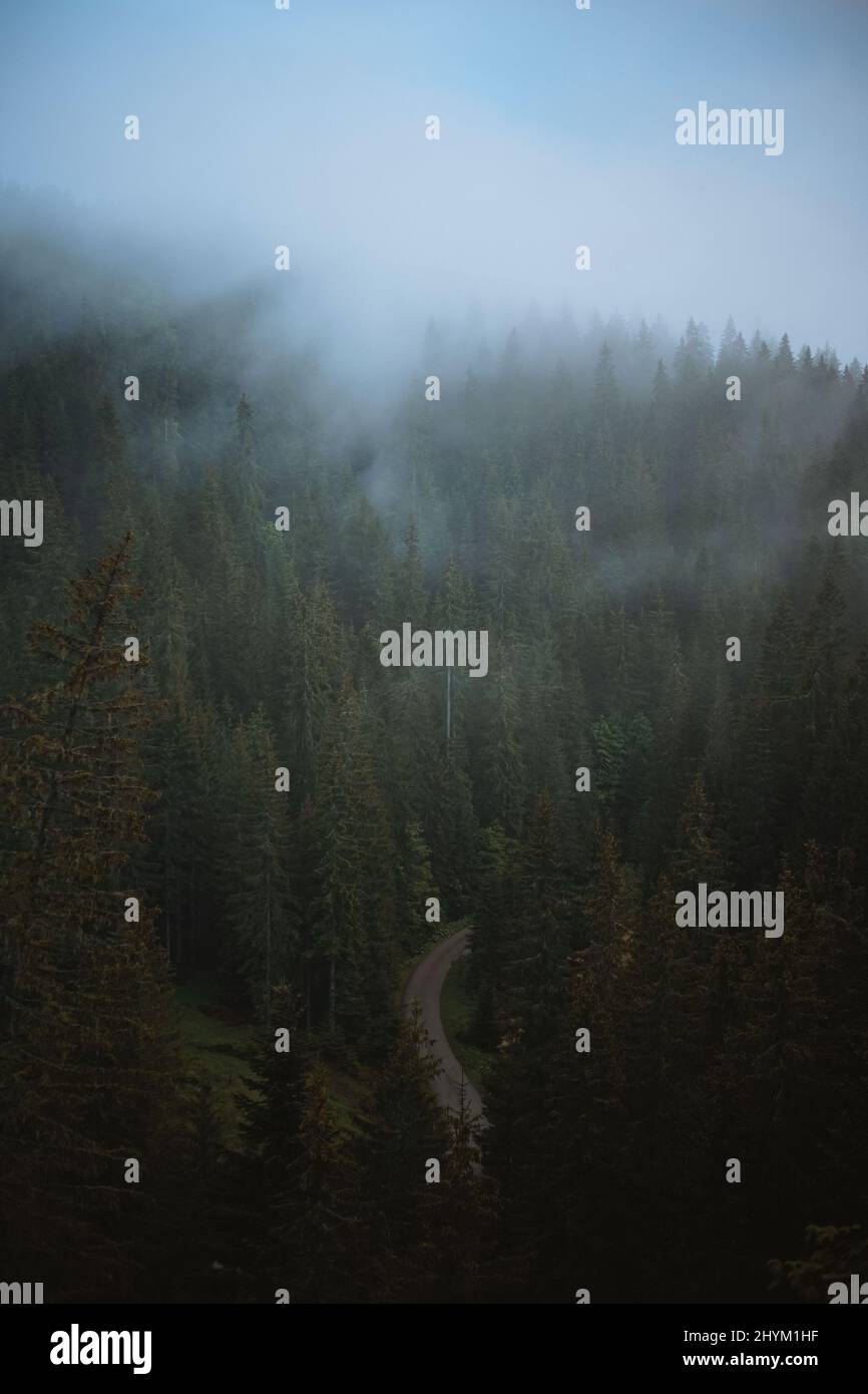 Aerial view of fog and clouds covering the forest Stock Photo - Alamy