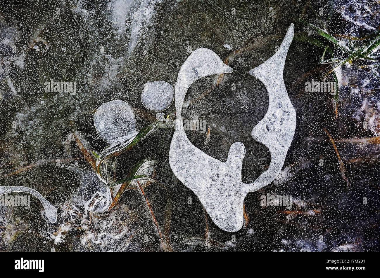 Frozen ice in puddle of water, Bavaria, Germany Stock Photo - Alamy