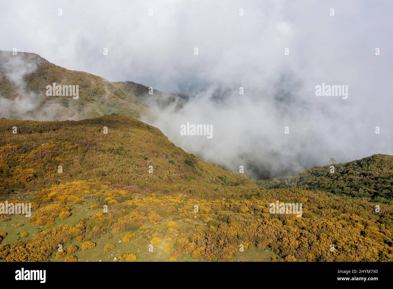 Ravine with mist and gorse on the barren plateau of Paul da Serra ...
