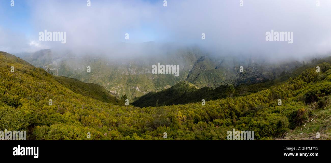 Ravine with mist and gorse on the barren plateau of Paul da Serra ...