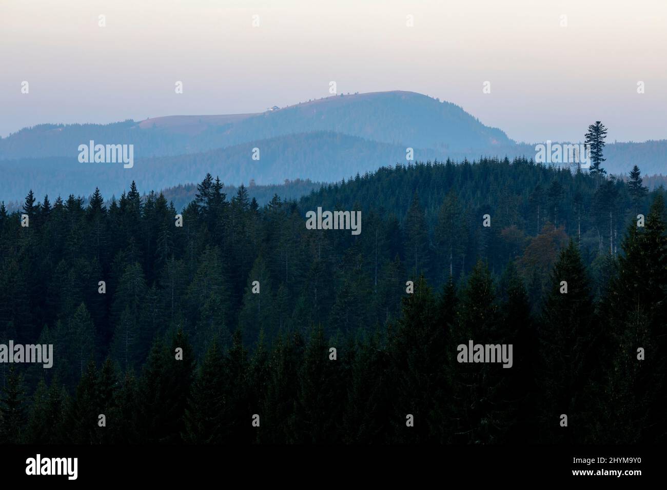 View in the morning light of the Belchen in the Black Forest ...