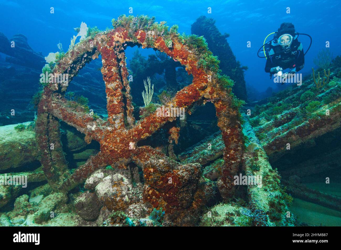 Diver looking at large upright gear in destroyed shipwreck, Caribbean ...