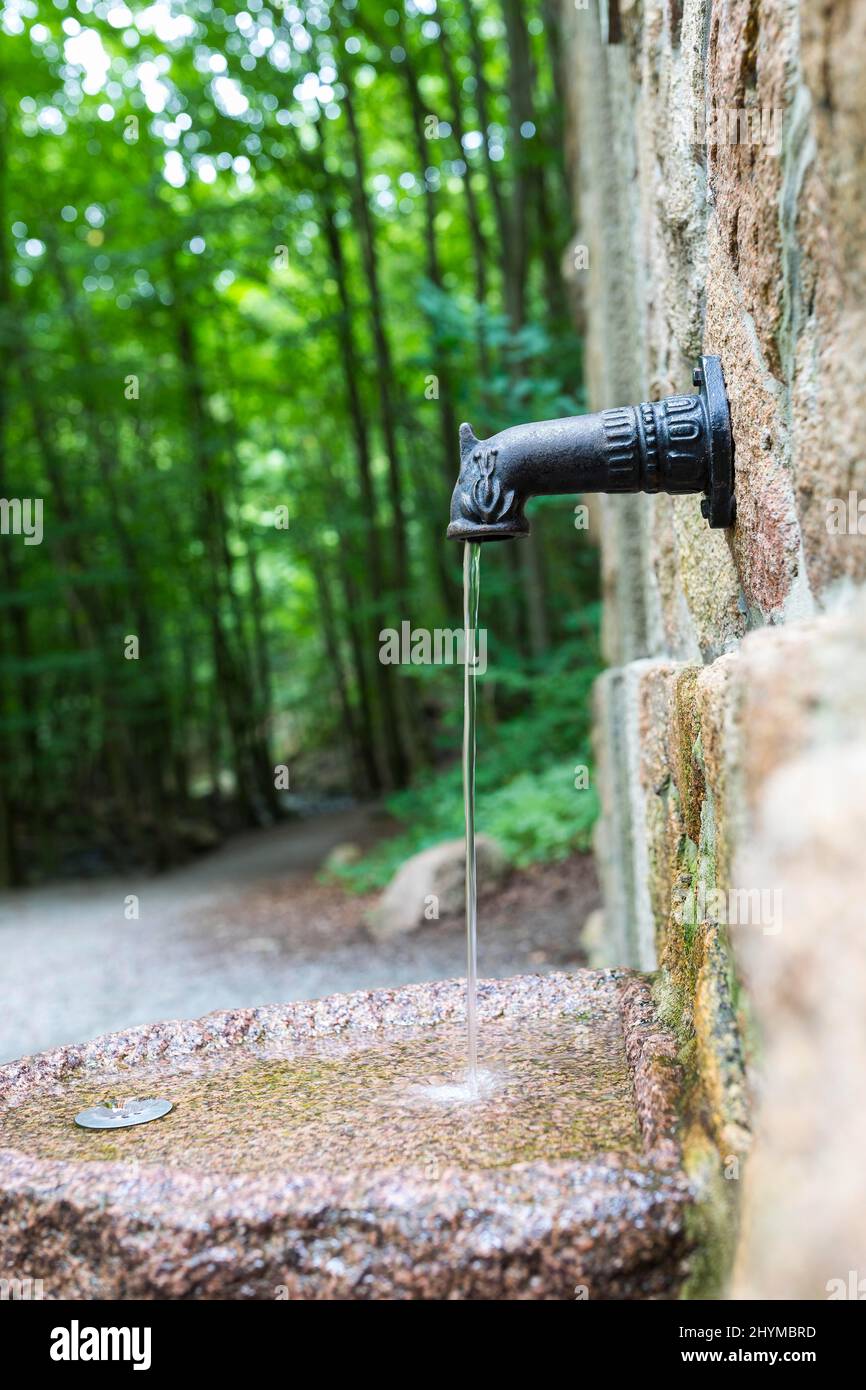 Water flowing from the tap of the Prinzess-Ilse spring, Ilse Valley ...