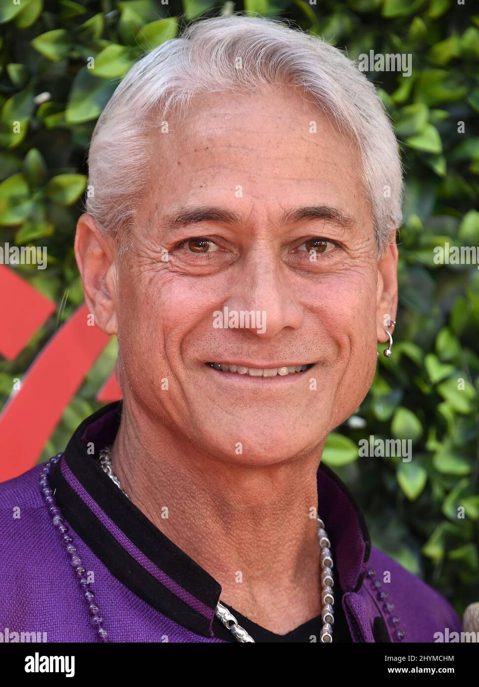 Greg Louganis at the 7th Annual Gold Meets Golden held at the Virginia ...