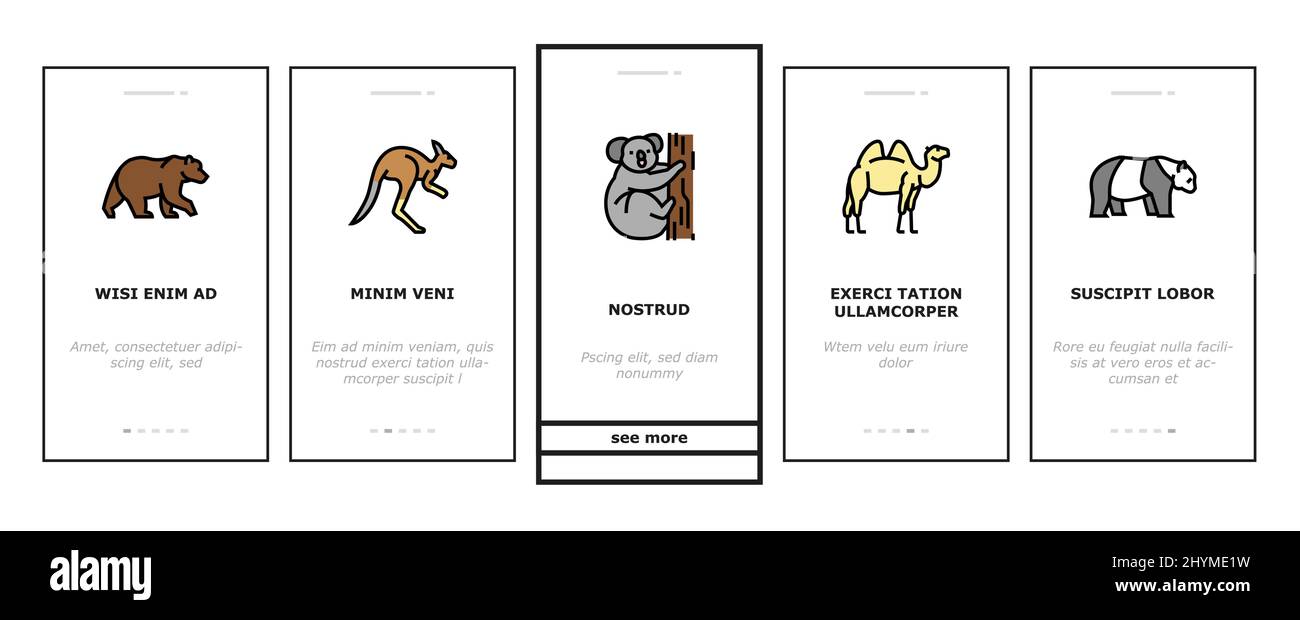 Zoo Animals, Birds And Snakes Onboarding Icons Set Vector Stock Vector ...