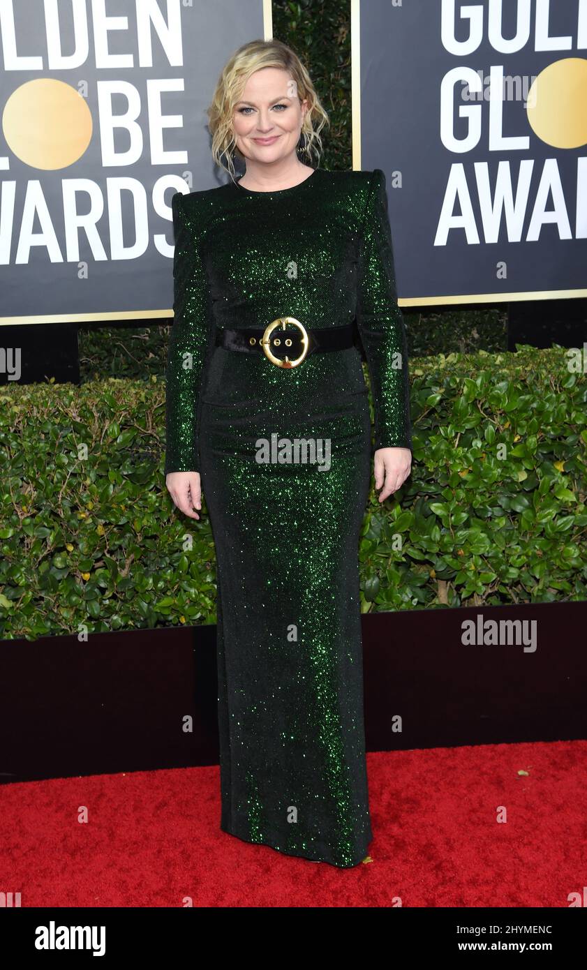 Amy Poehler at the 77th Golden Globe Awards held at the Beverly Hilton ...