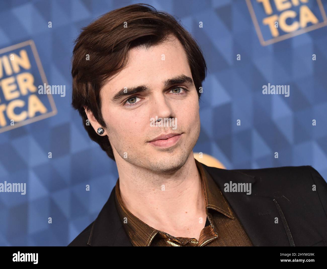 Reid Ewing at the ABC Winter TCA 2020 Arrivals Carpet held at the ...