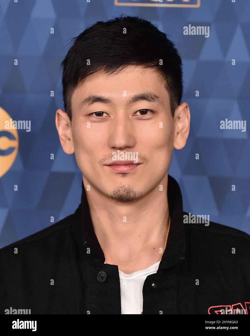 Jake Choi at the ABC Winter TCA 2020 Arrivals Carpet held at the ...