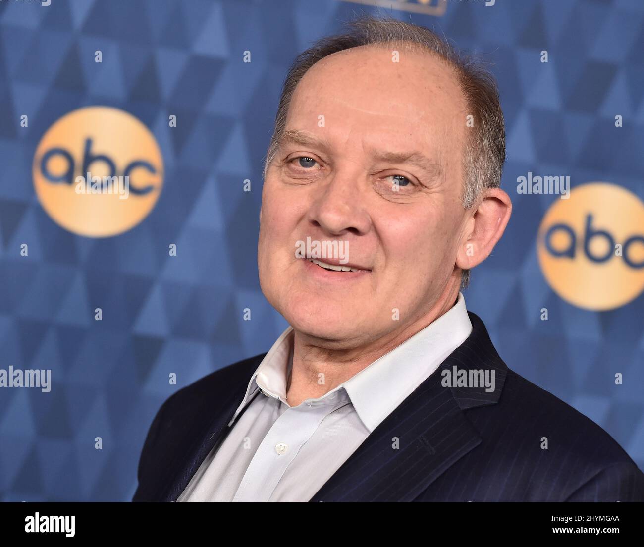 Zach Grenier at the ABC Winter TCA 2020 Arrivals Carpet held at the ...