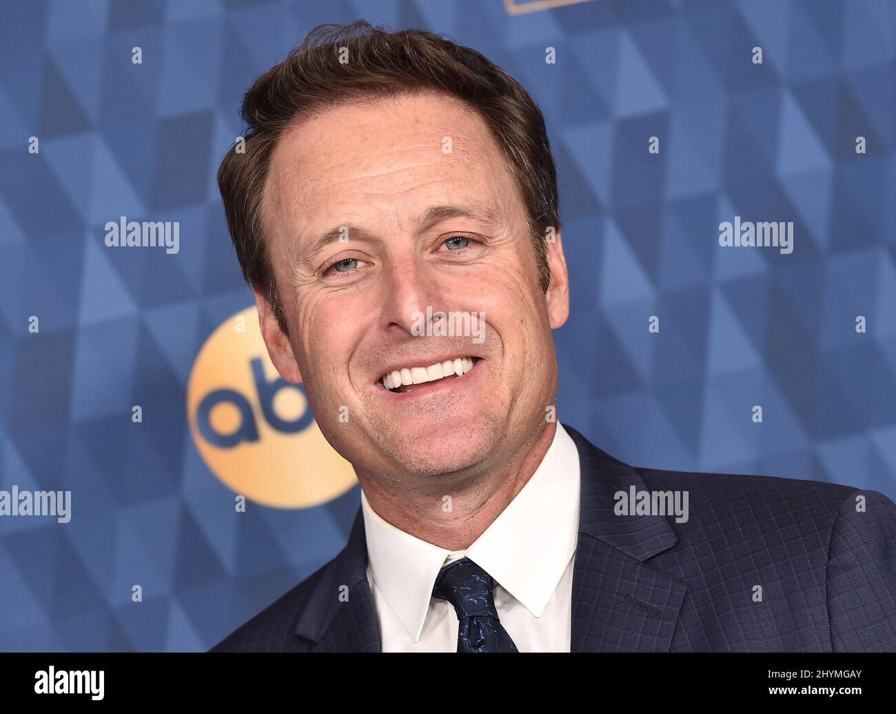 Chris Harrison at the ABC Winter TCA 2020 Arrivals Carpet held at the ...