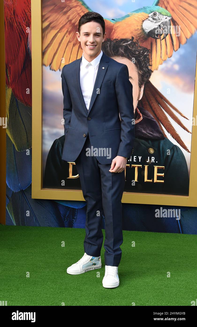 Harry Collett at the "Dolittle" Los Angeles premiere held at the ...