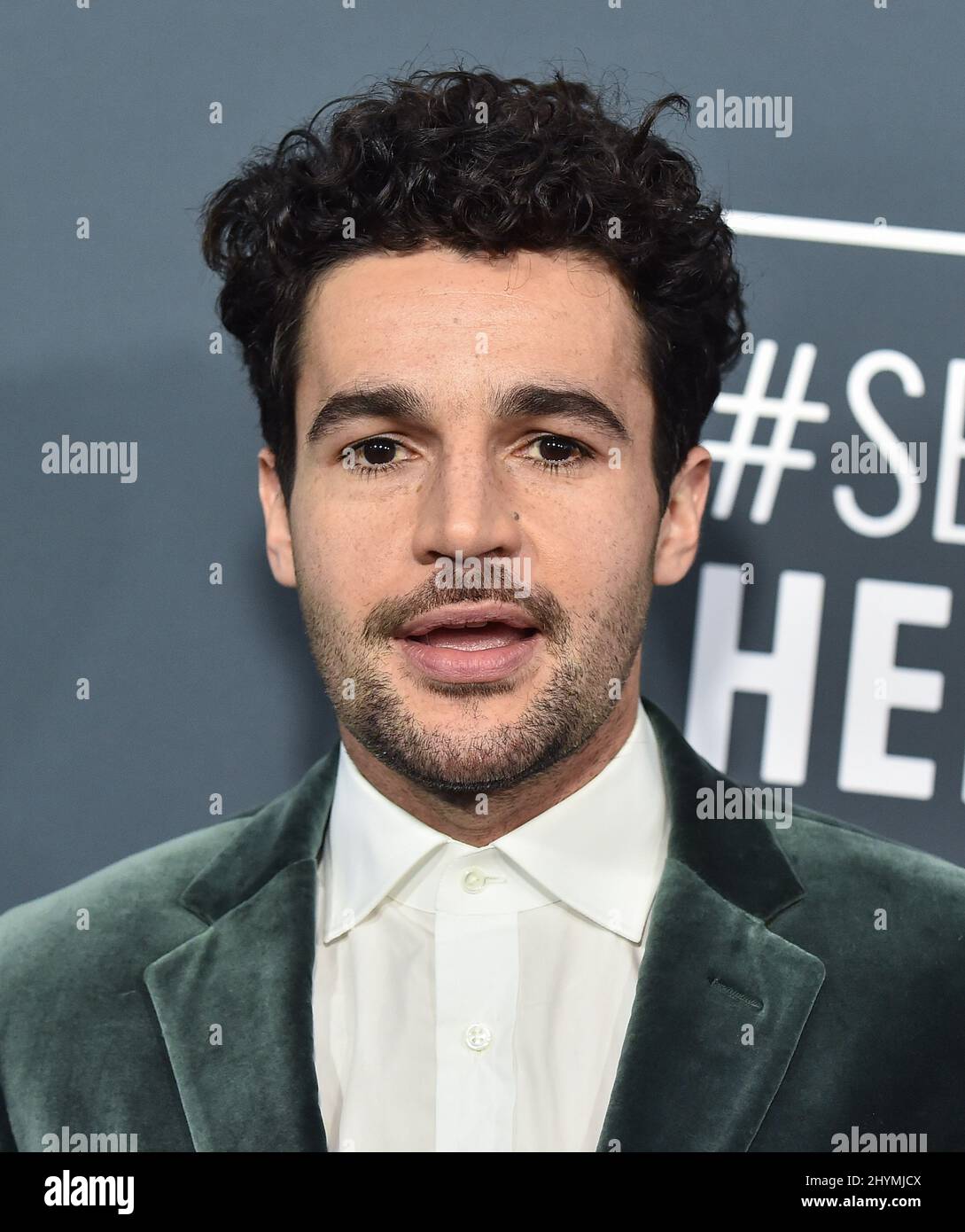 Christopher Abbott at the 25th Annual Critics' Choice Awards held at ...