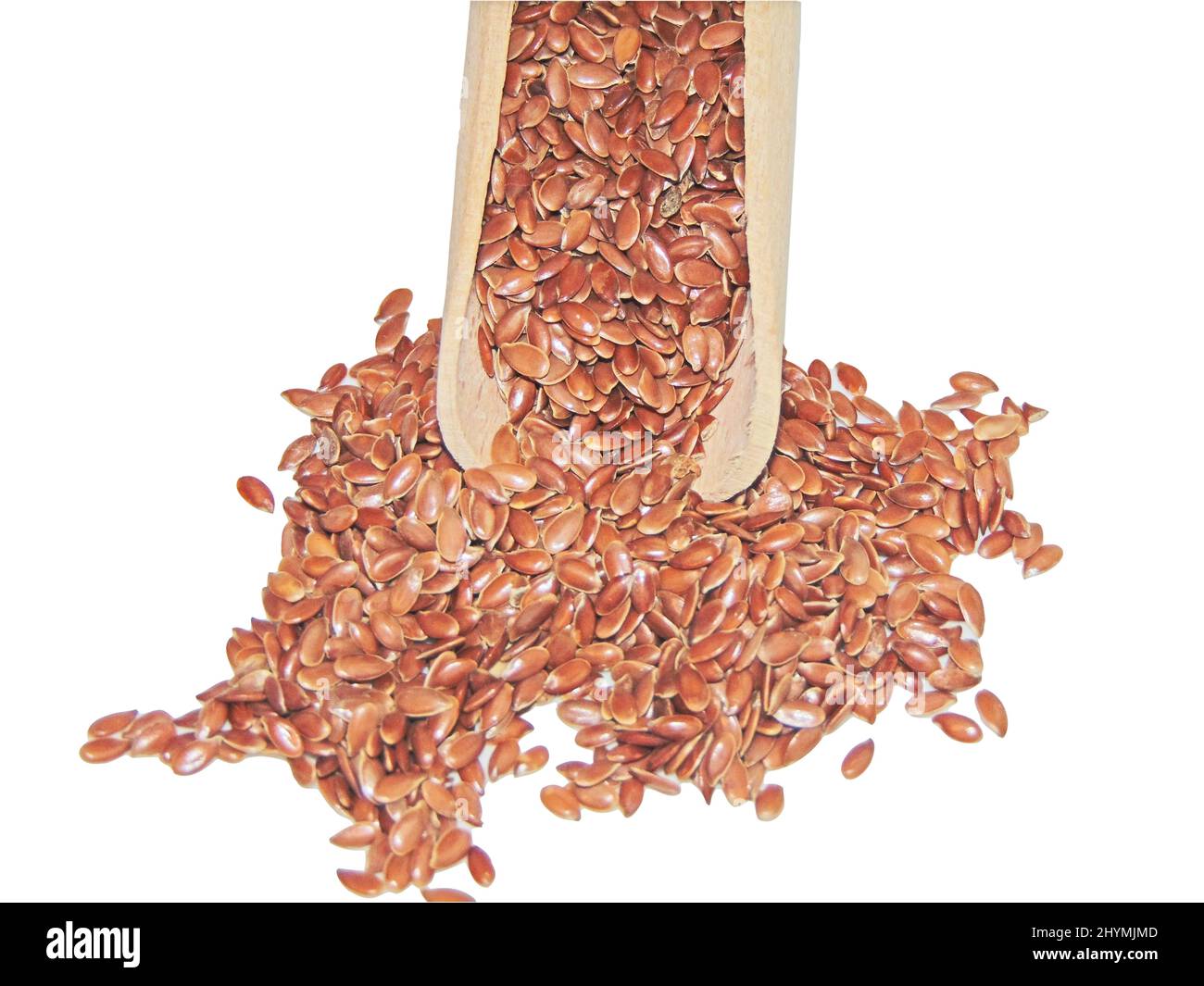 The Flax, also known as common flax or linseed Stock Photo - Alamy