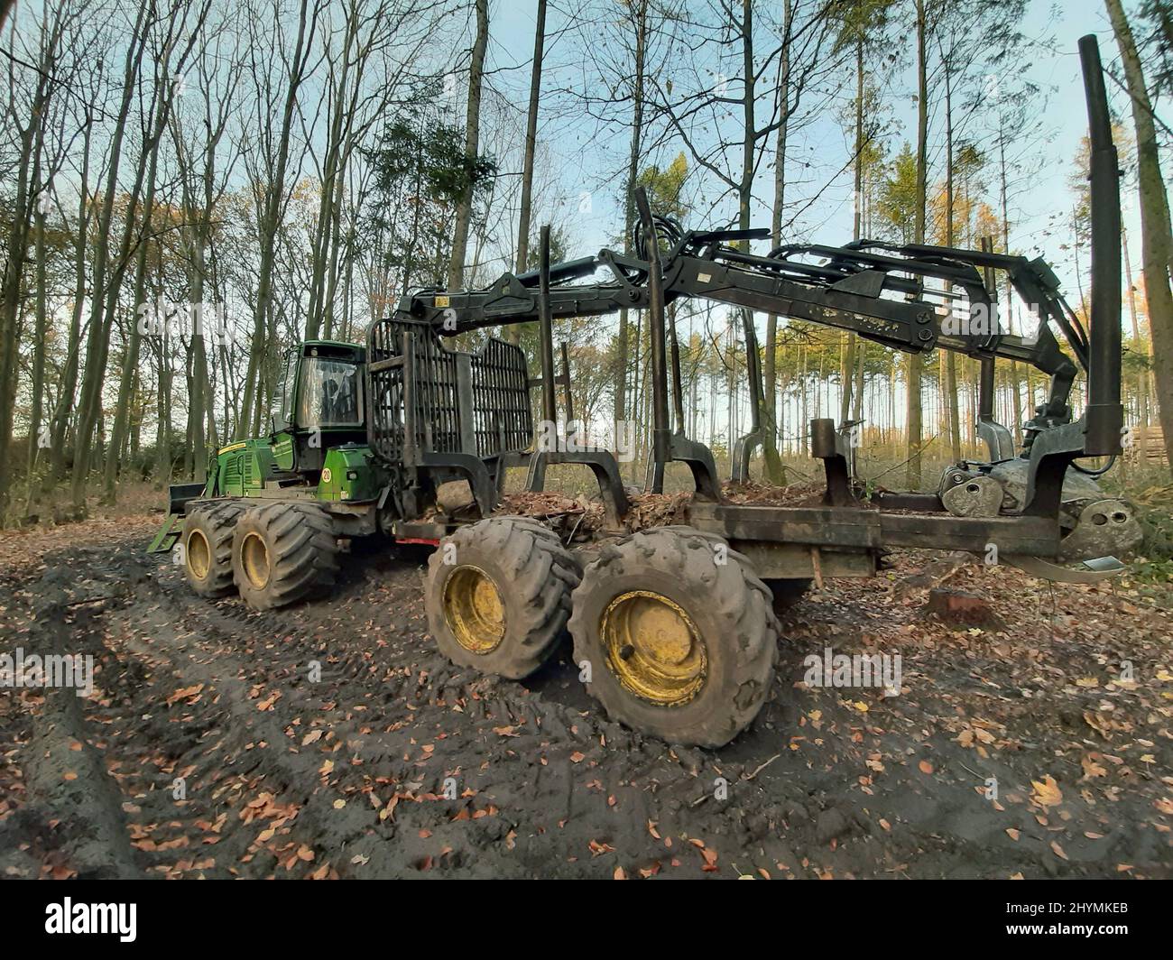 Forwarder with timber hi-res stock photography and images - Alamy