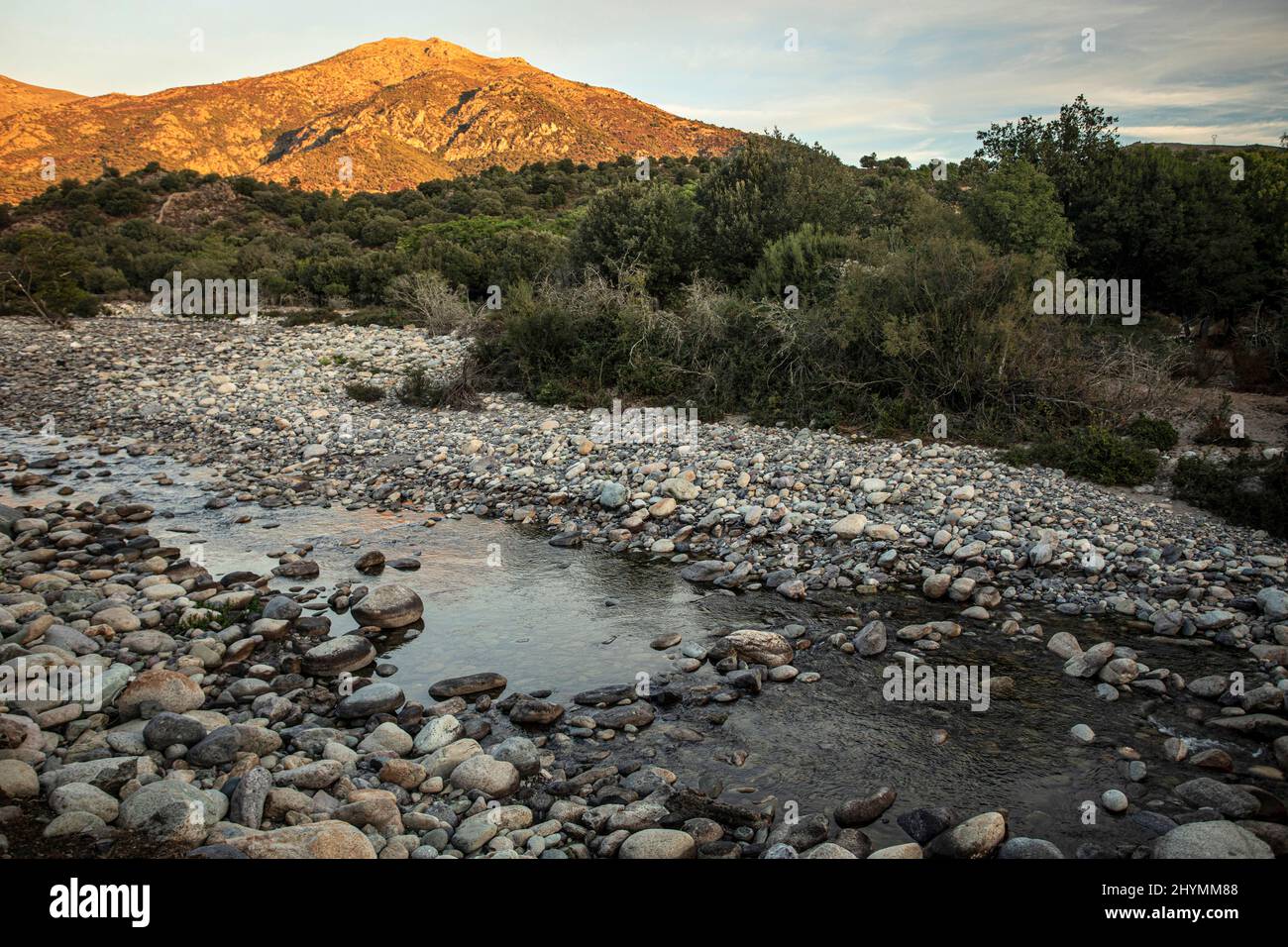 , river Asco, France, Corsica, Asco Stock Photo - Alamy