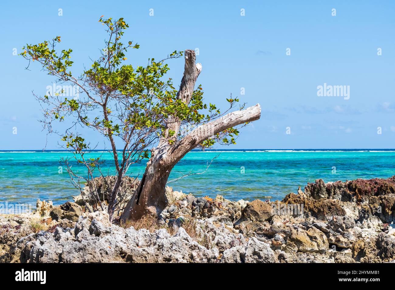 Places to visit cayman islands hi-res stock photography and images - Alamy
