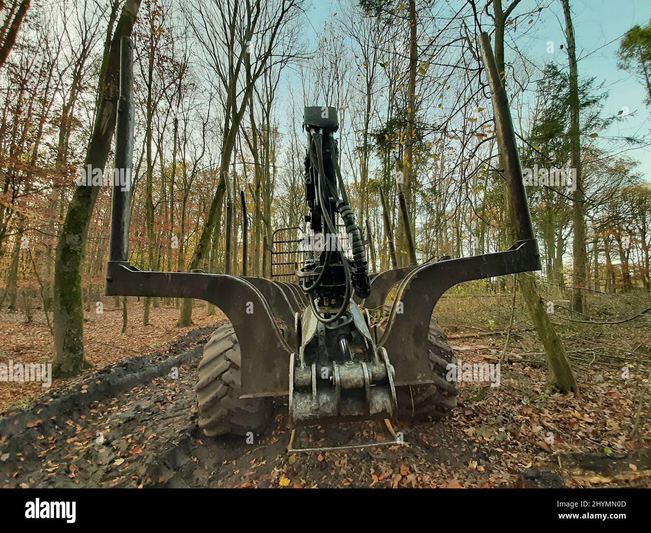 Forwarder with timber hi-res stock photography and images - Alamy