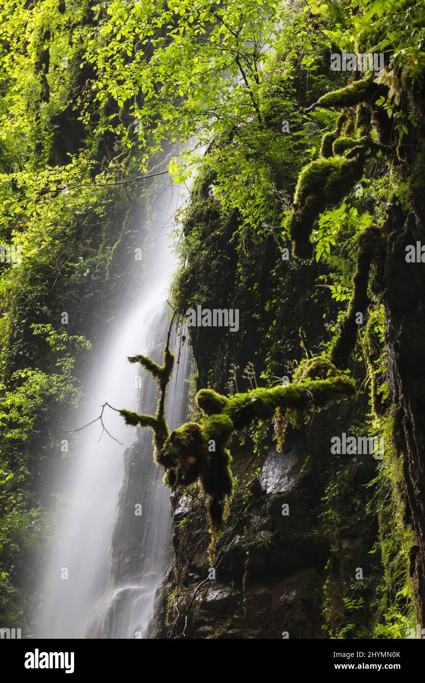, waterfall in the Kakuetta gorges, France, Pyrenees, Gorges Kakuetta ...