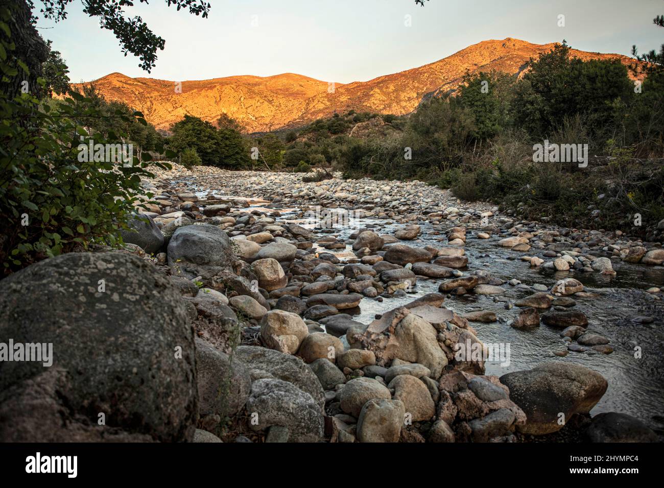 , river Asco, France, Corsica, Asco Stock Photo - Alamy