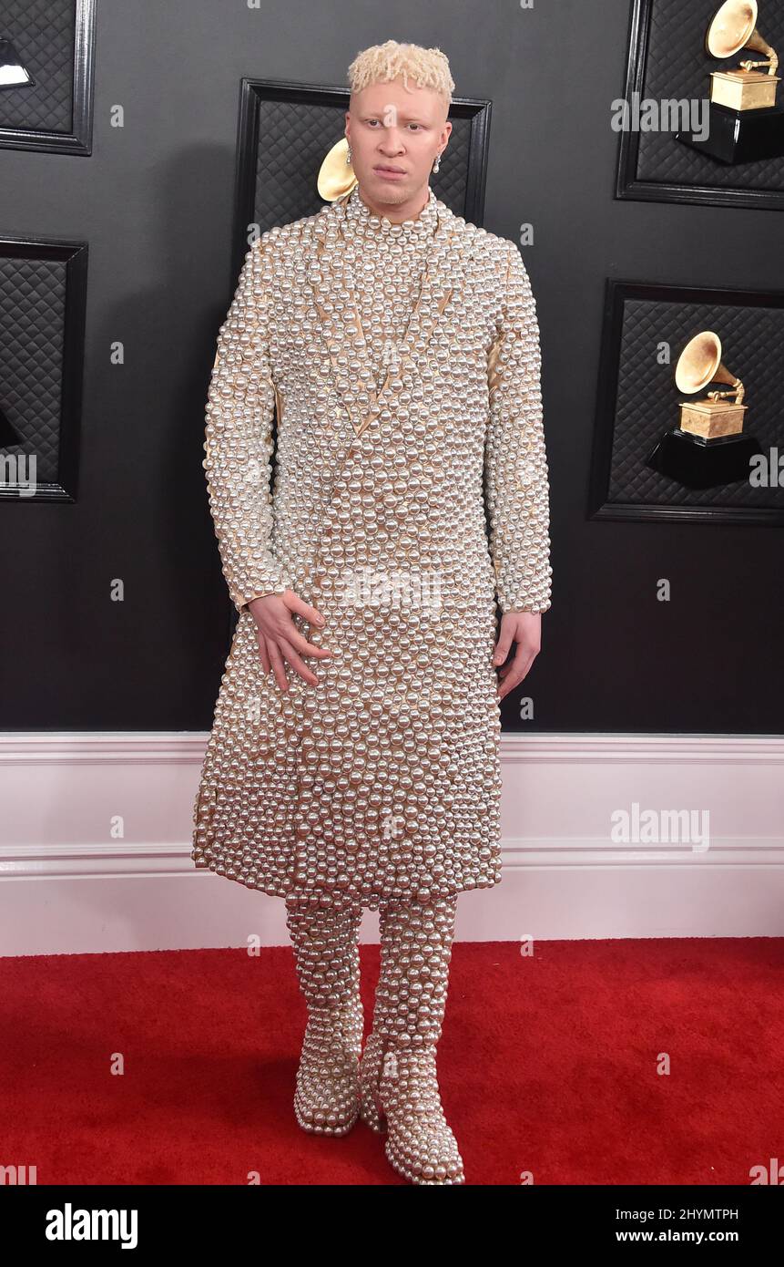 Shaun Ross attending the 2020 GRAMMY Awards held at Staples Center in ...