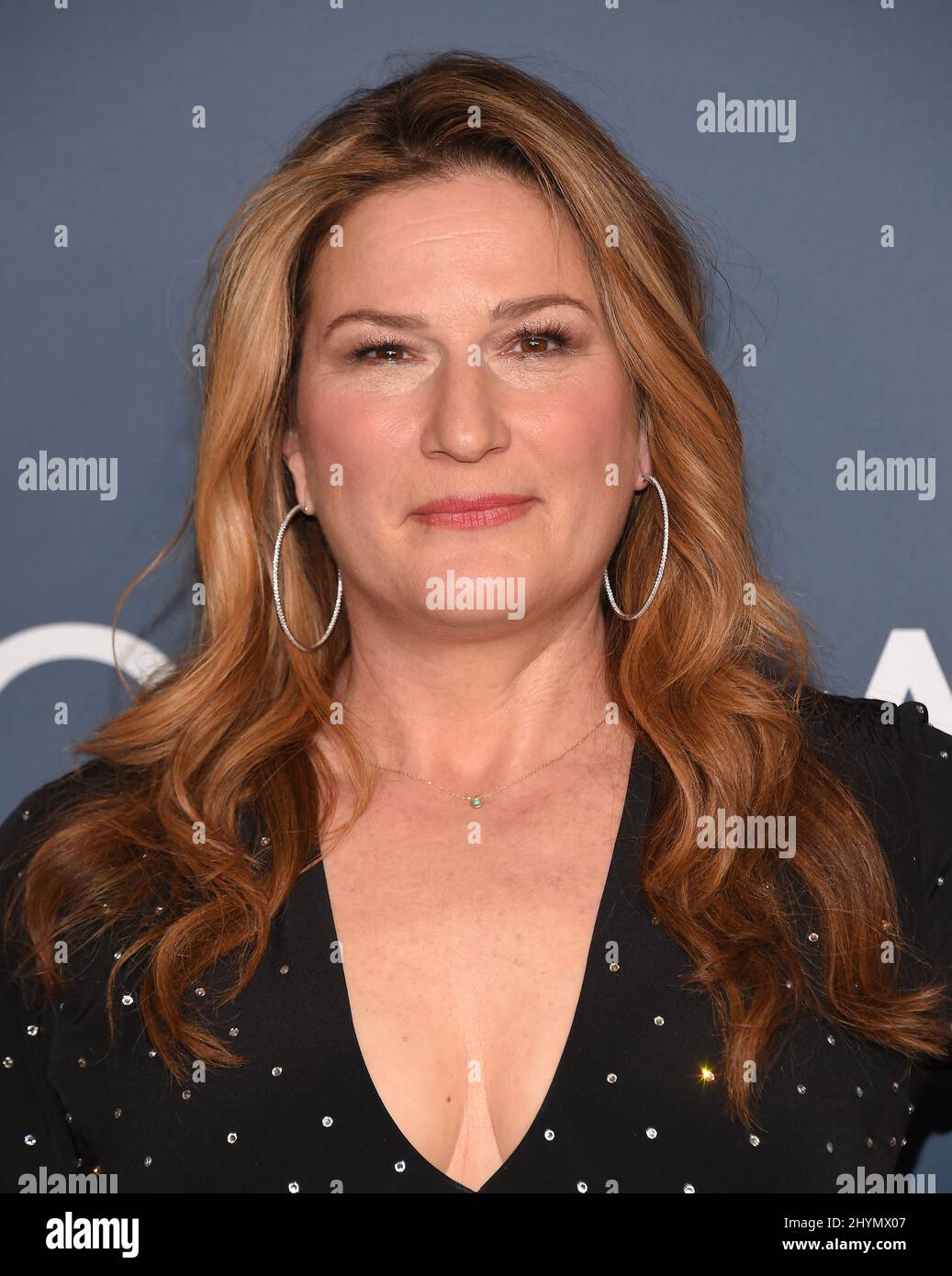 Ana Gasteyer at the 22nd Costume Designers Guild Awards held at the ...