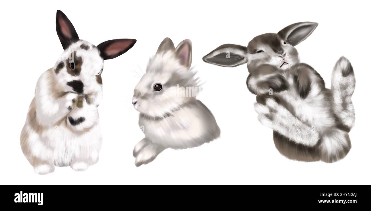 A set of realistic bunnies. Watercolor illustration of colored rabbits ...