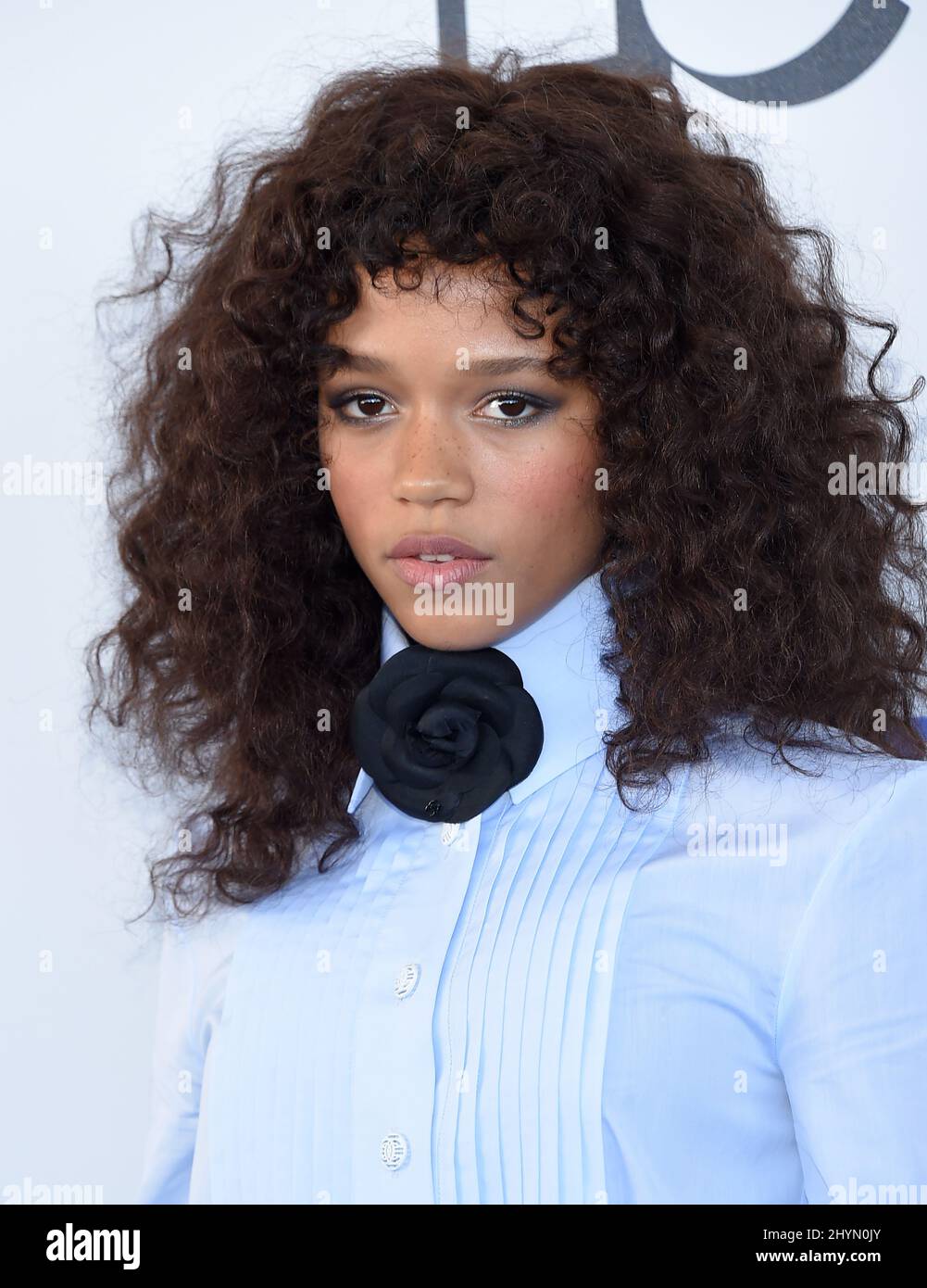 Taylor Russell at the 2020 Film Independent Spirit Awards held at the ...