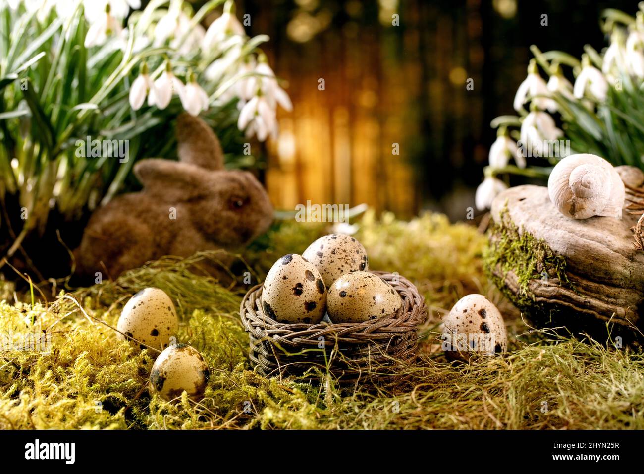 Moss in spring hi-res stock photography and images - Alamy