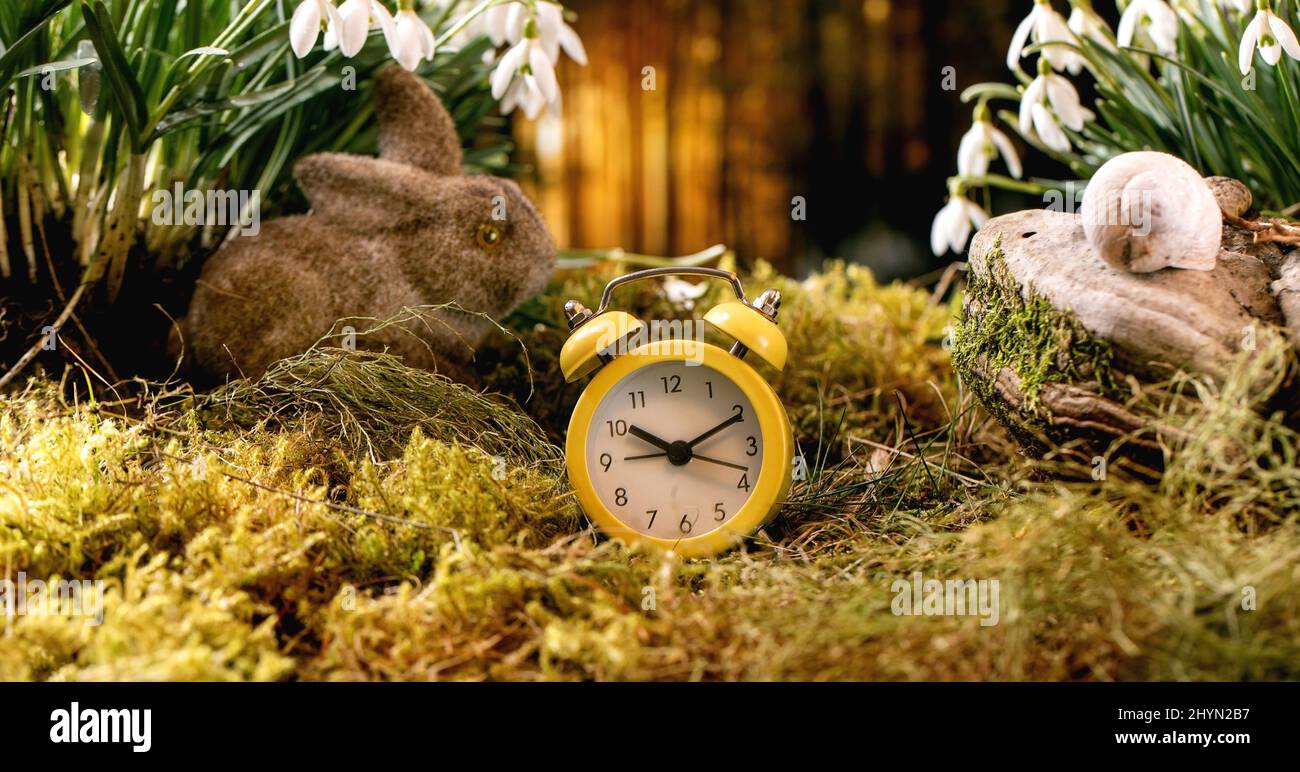 Easter greeting. Yellow alarm clock and bunny rabbit on moss in spring ...