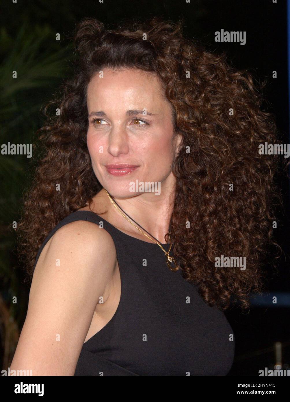 Andie macdowell High Resolution Stock Photography and Images - Alamy