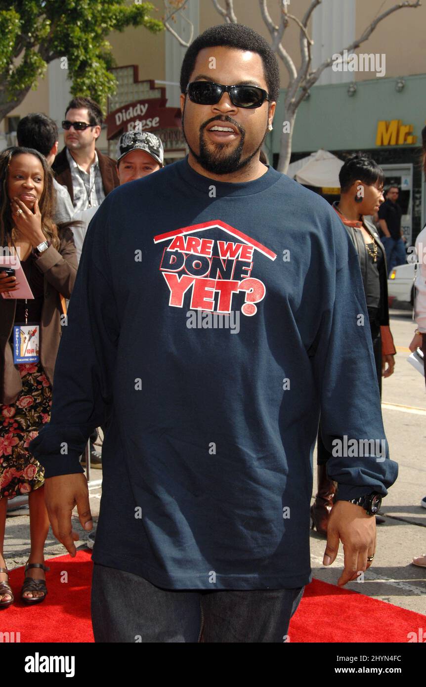 Ice Cube Mean Face In Are We There Yet