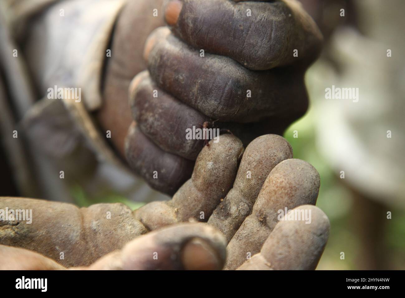 Closeup of people's hands sharing something with the blurred background ...