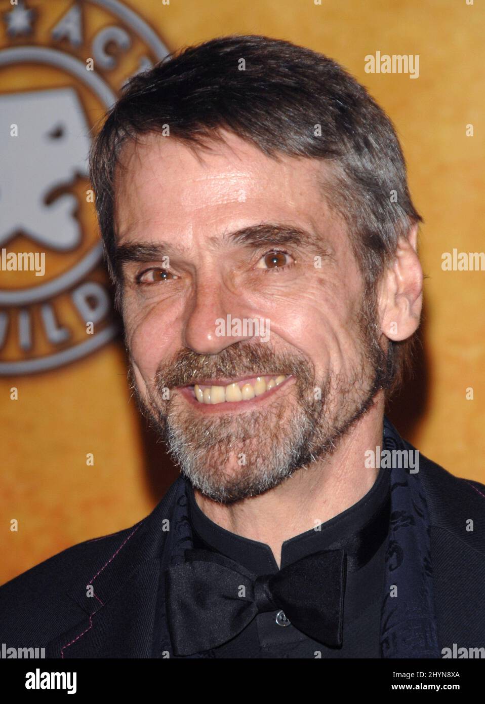 Jeremy Irons attends the 13th Annual Screen Actors Guild Awards at the ...